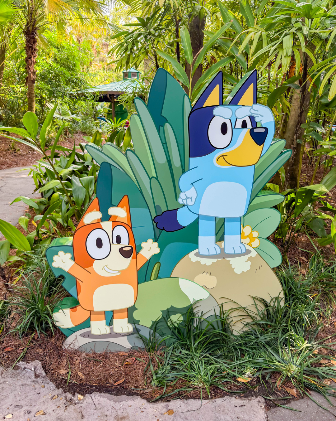 Disney World June 2026 Schedule: Events, Closures & More - DVC Rental Store