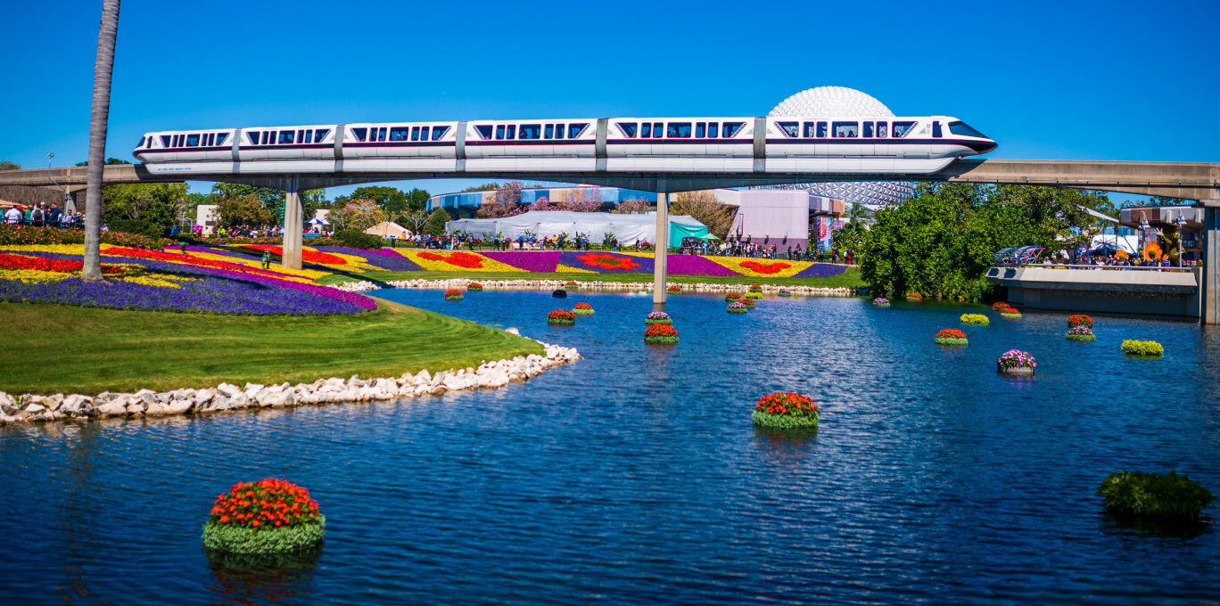 DVC Rentals: Rent, Book & Save! - DVC Rental Store