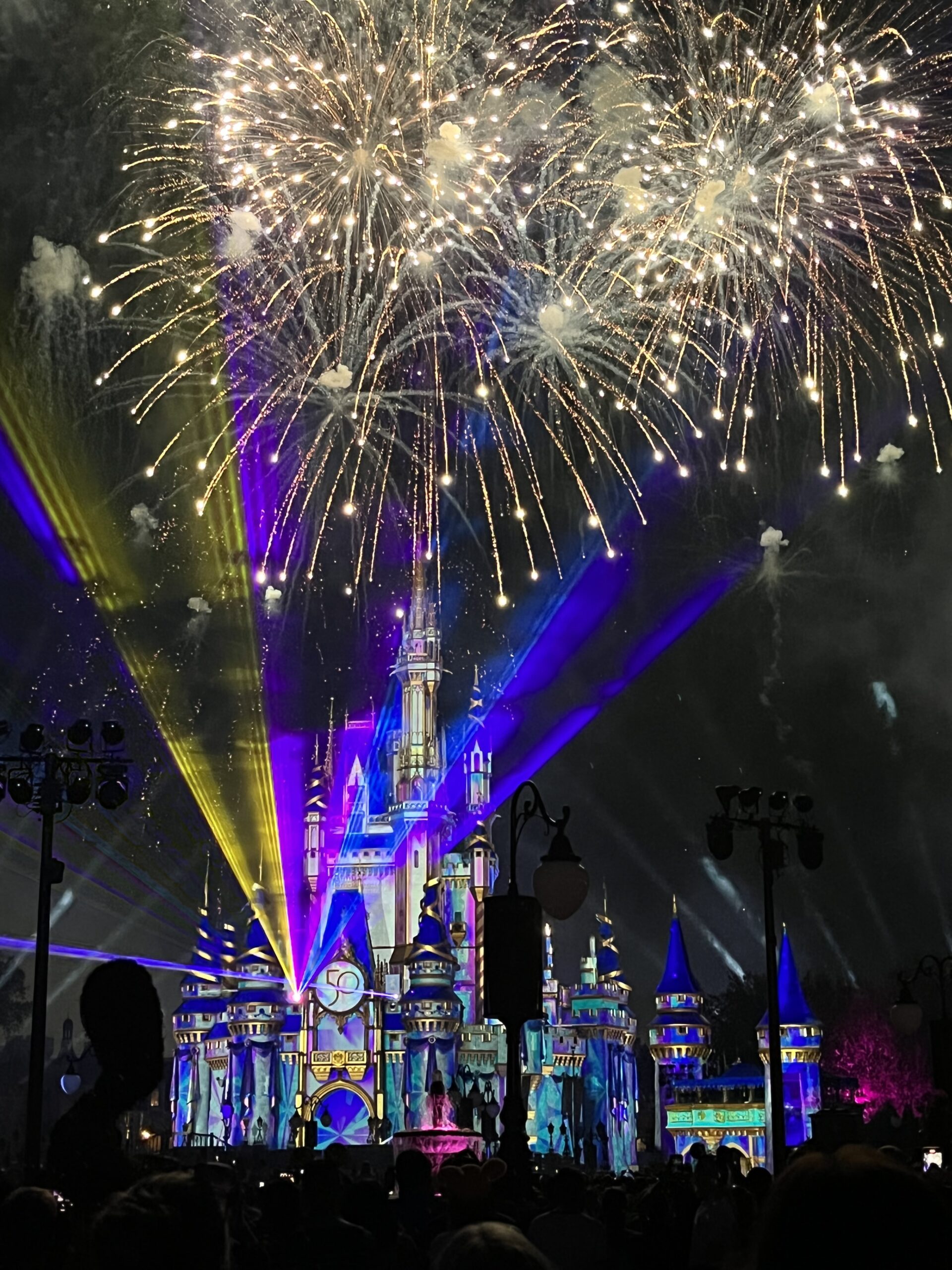 Extras to Make Your Disney World Trip Even More Magical - DVC Rental Store