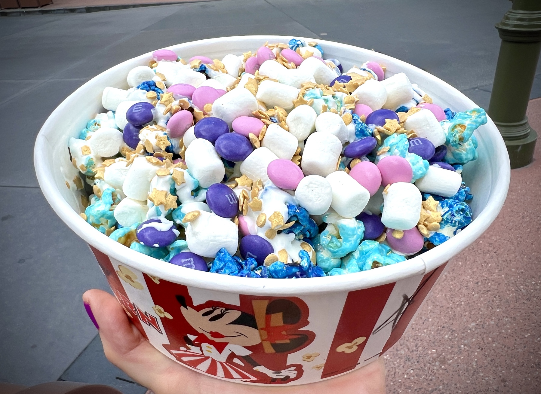 If You Could Only Choose One Magic Kingdom Snack, Make It This - DVC ...